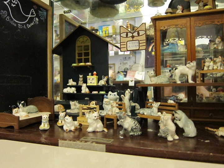 Catsparella: A Look Inside a Hong Kong Cat Cafe