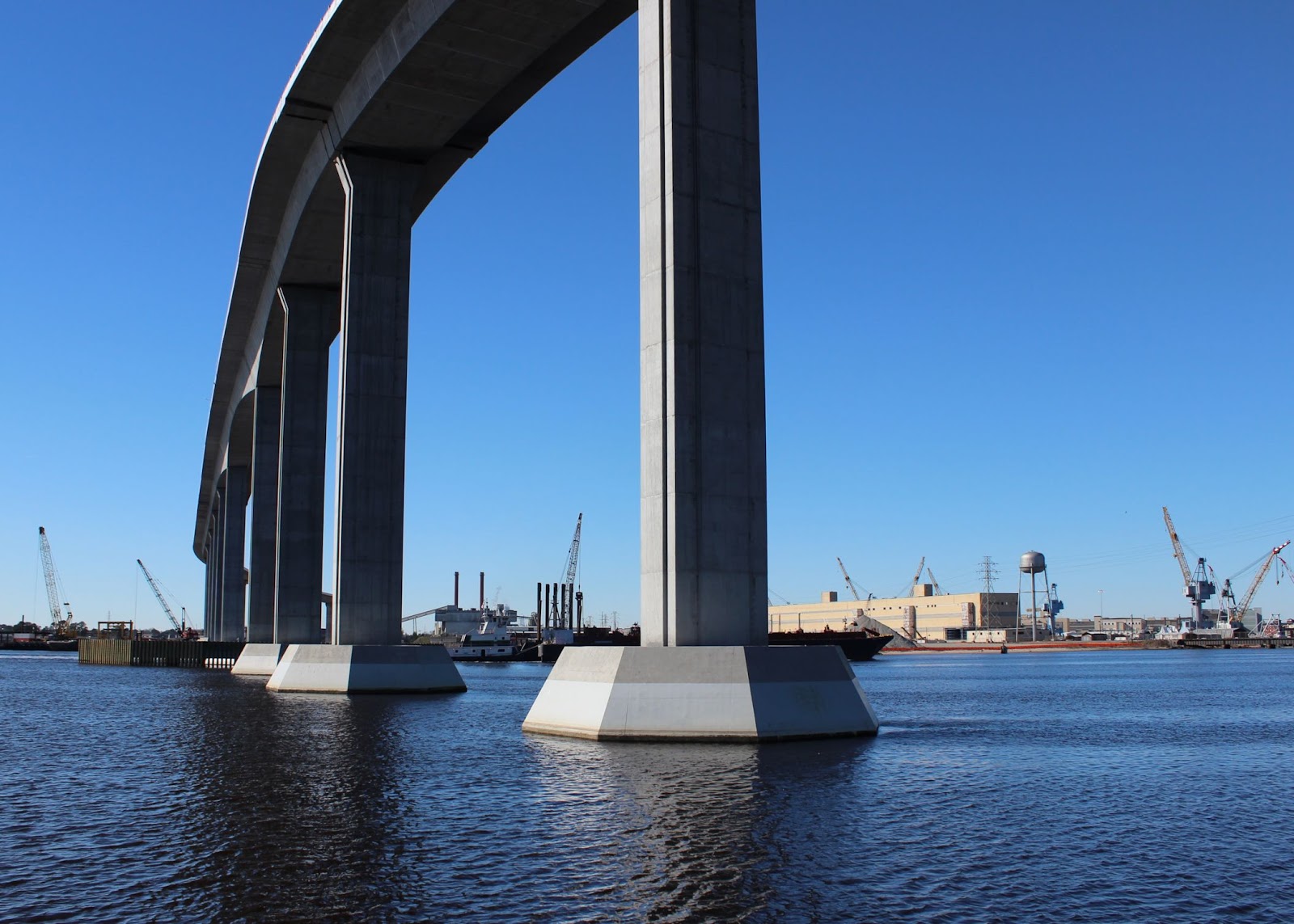 robbie's eye - a view from robbie's eye ( and camera) to yours...: The ...