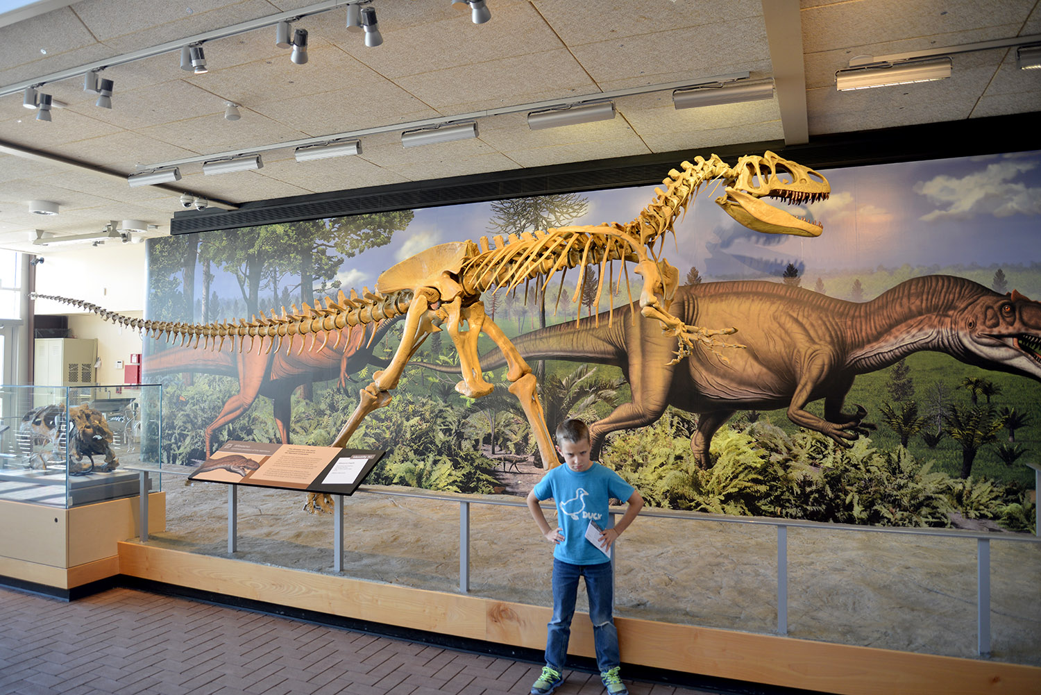 A school of fish: Dinosaur National Monument Field Trip