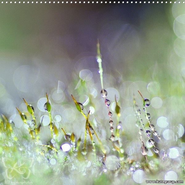 Muthu Rockzz: Best May Photography