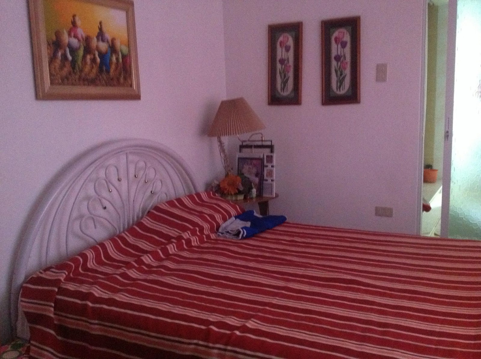 Davao Home Provider: For Sale House and Lot Purok Rambutan Visayan ...