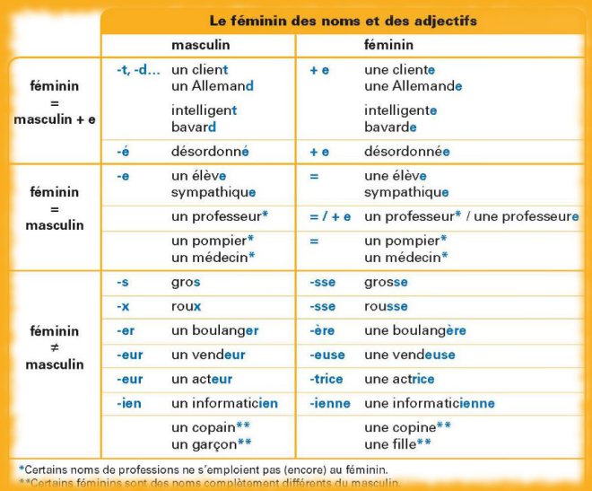 Formation du féminin des noms et des adjectifs (con imágenes) | Clases ...