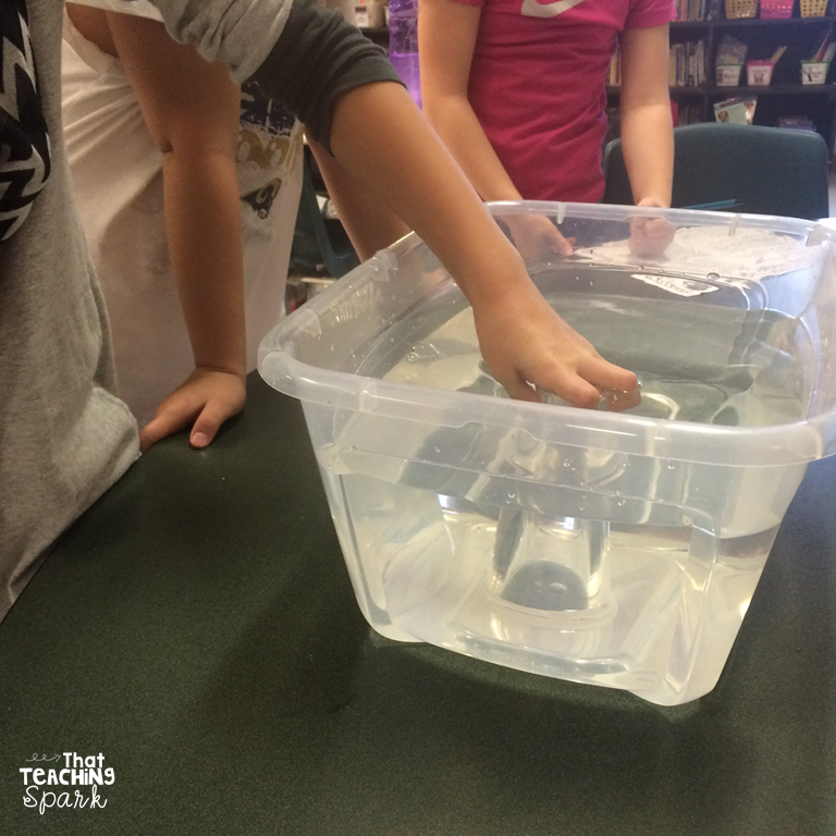 Back to School STEM with Fred the Worm Extension Activities | All About ...