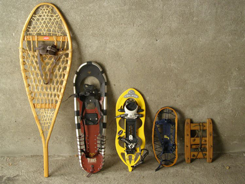 Lettere allo Zio Cane