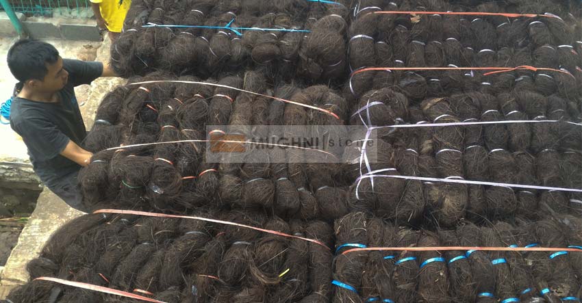 Disini ! Jual Ijuk Harga Lebih Murah (Kirim Cepat keJabodetabek) - JUAL ...