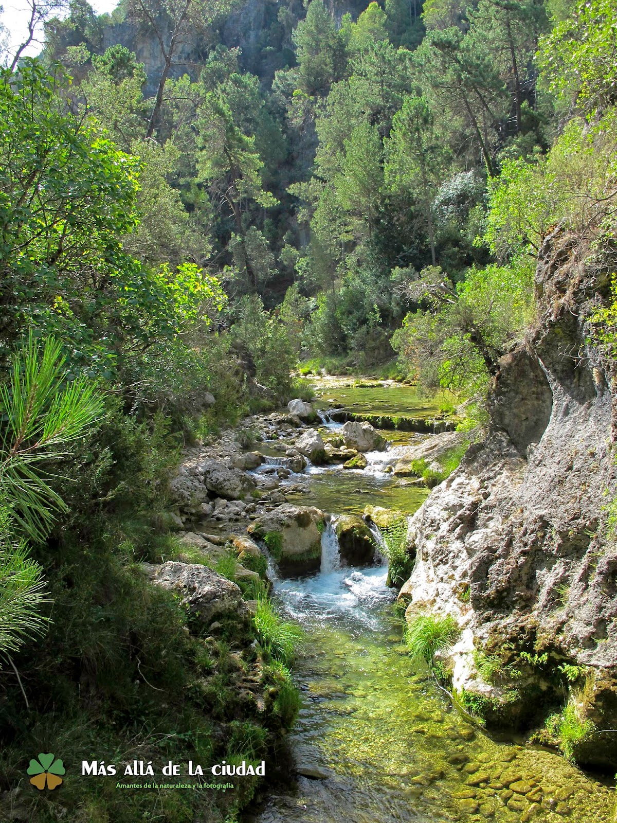 Ruta Río Borosa (Cazorla)