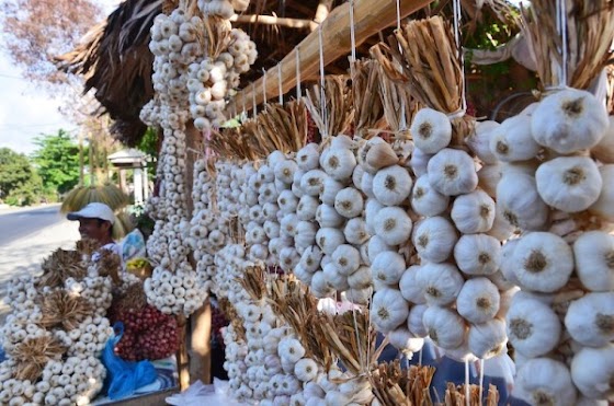 The Philippine Historian