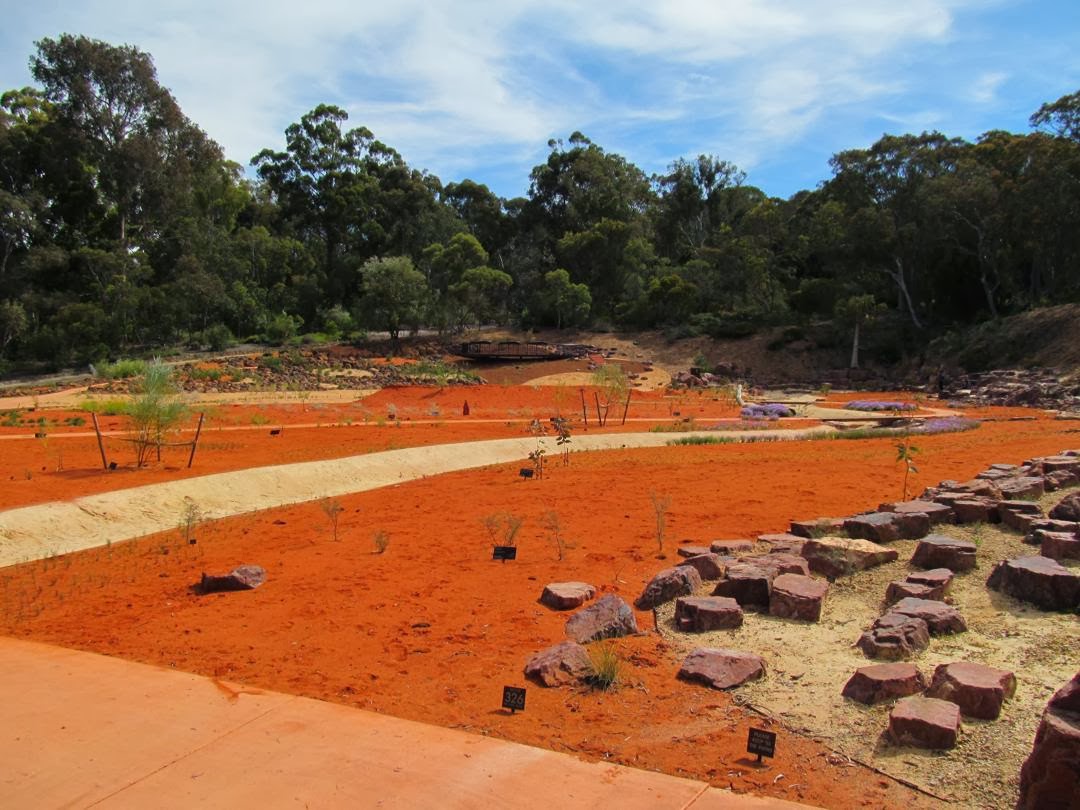 PhyloBotanist: The new Red Centre Garden at the ANBG