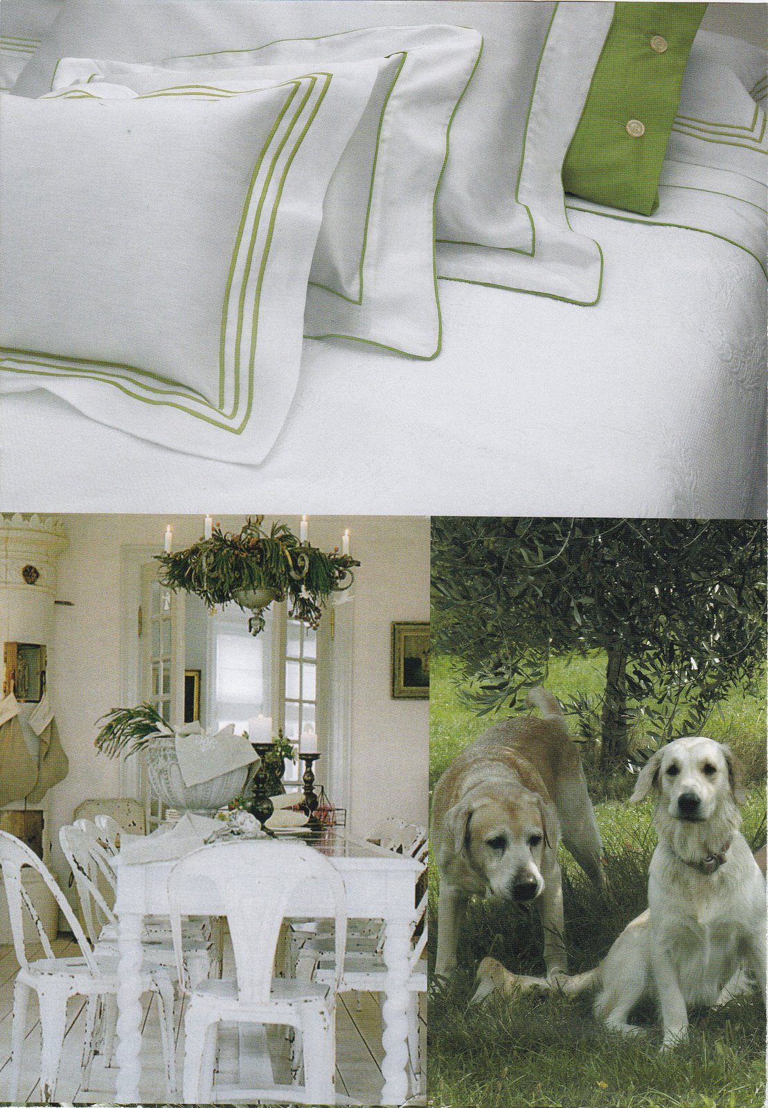 Country Style Chic: A Country Collage