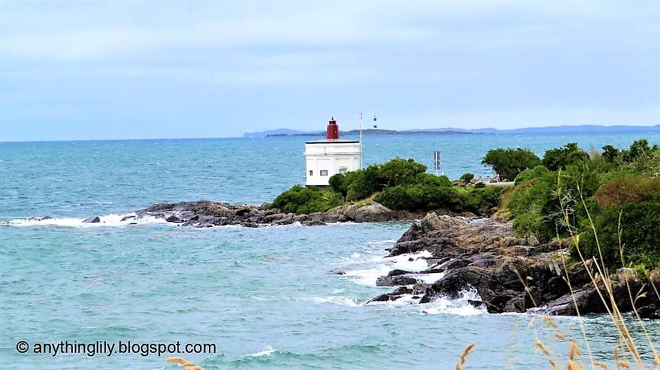 anythinglily: New Zealand's Southernmost Town: Bluff