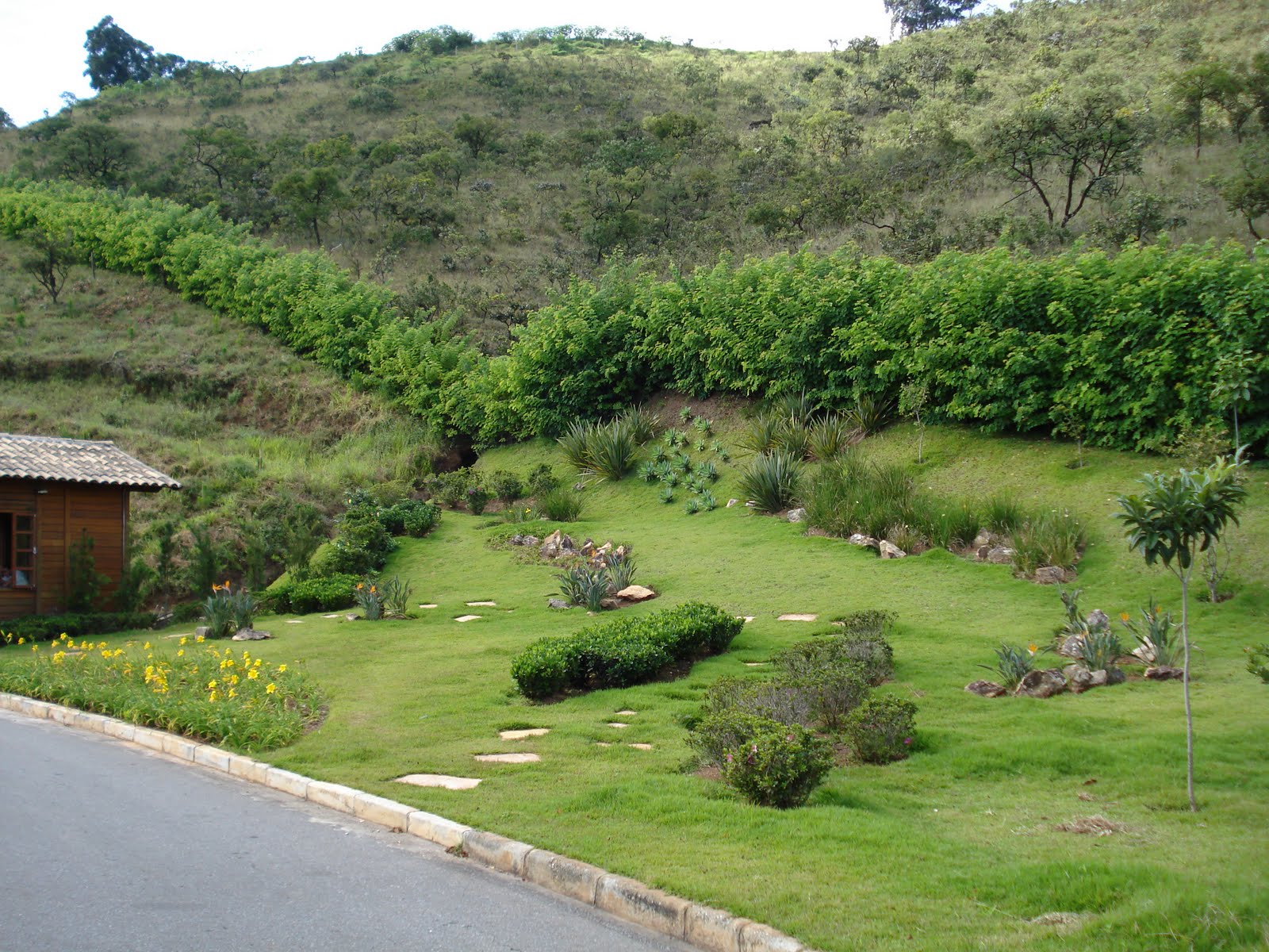 Blog da jardinagem: Jardins em taludes