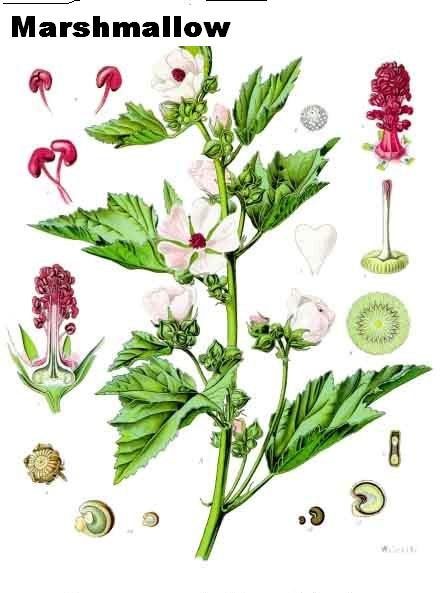 Lake Emily Garden formerly known as Earthworks, St. Peter, Minnesota ...