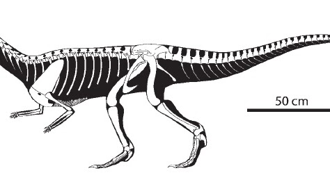 Waxing Paleontological: Faux Theropods