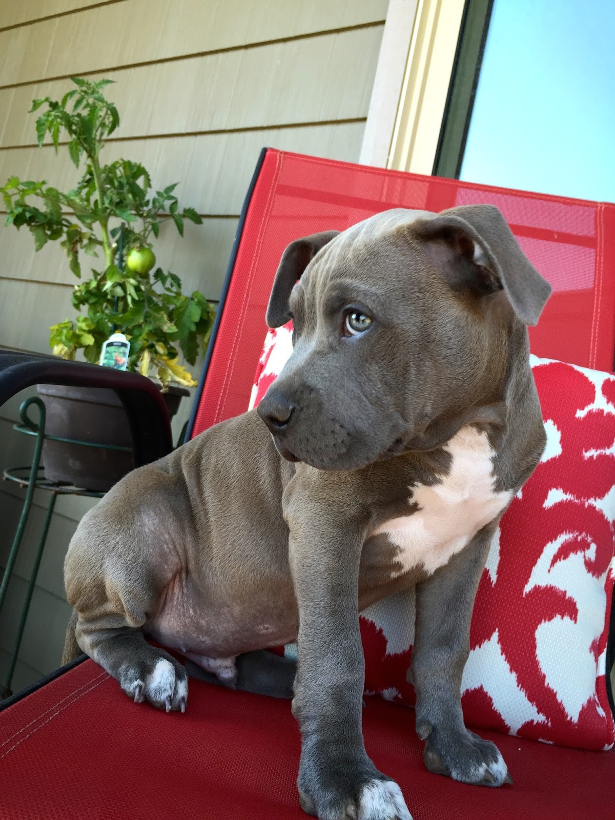 Organization at the Ocean