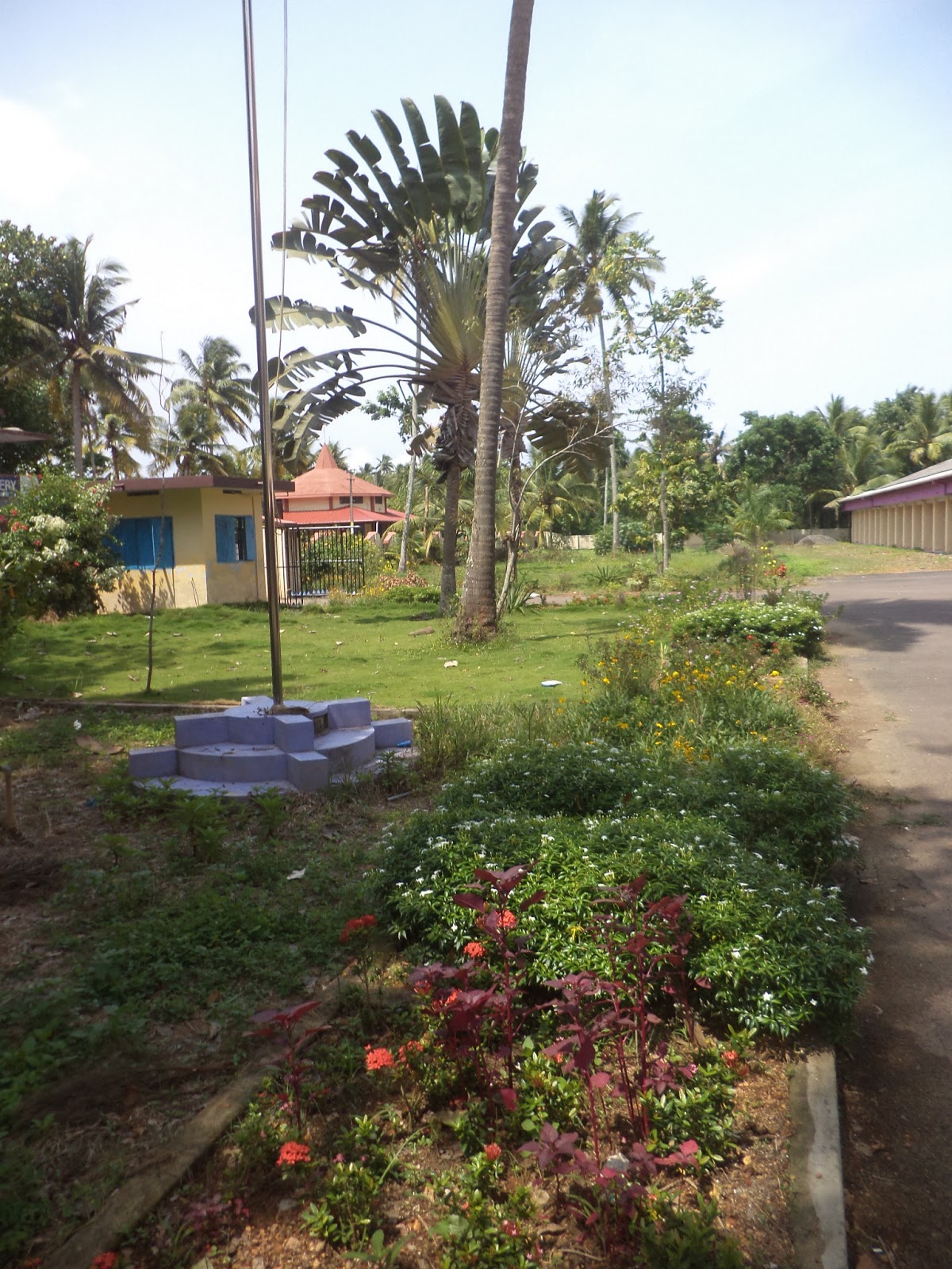 ST:XAVIER'S COLLEGE KOTHAVARA. PHOTO BLOG