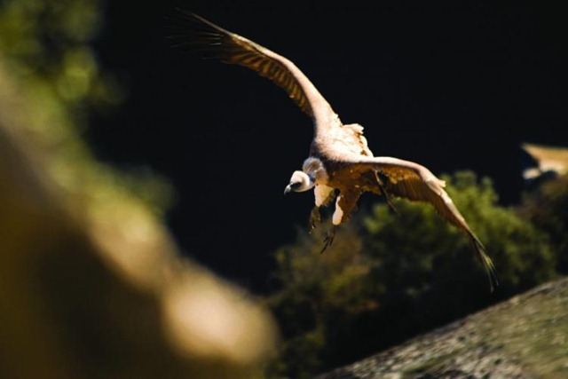 MEMÓRIAS...e outras coisas...: Parque Natural do Douro Internacional