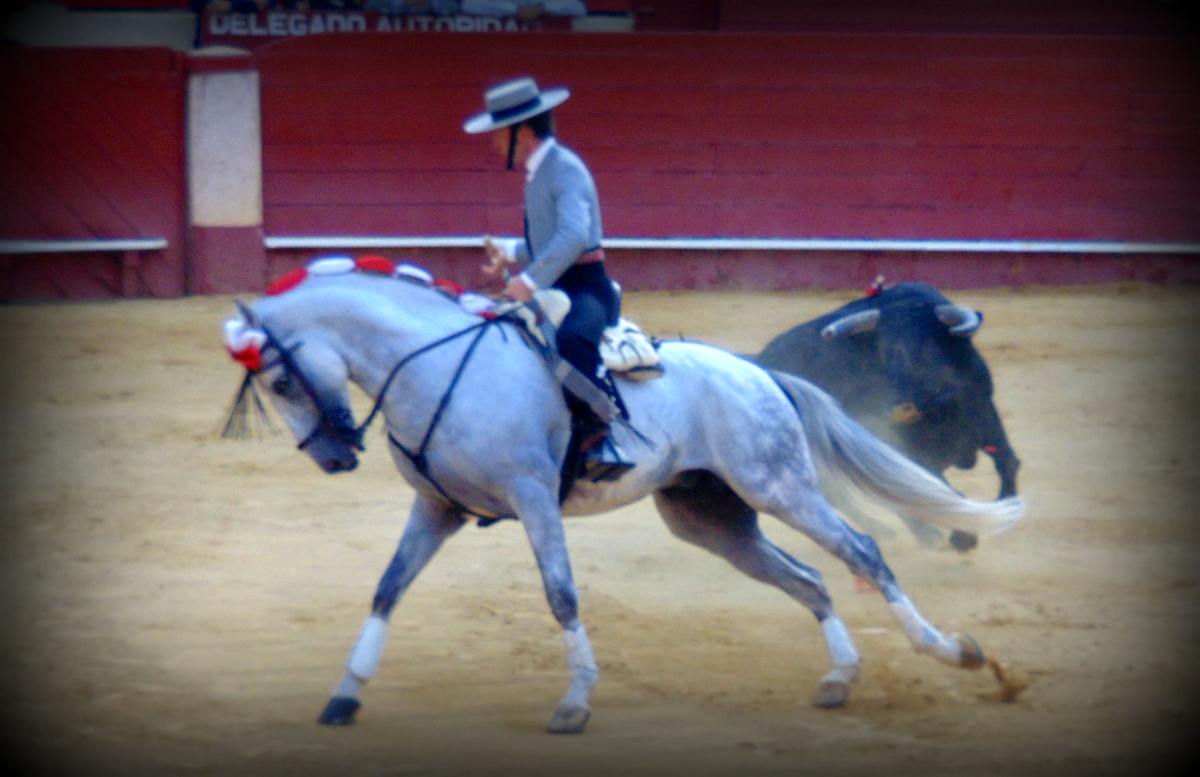 Spanish Shilling: Bullfighting on Horseback