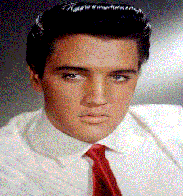World Famous Singer Elvis Presley ~ Profile Name