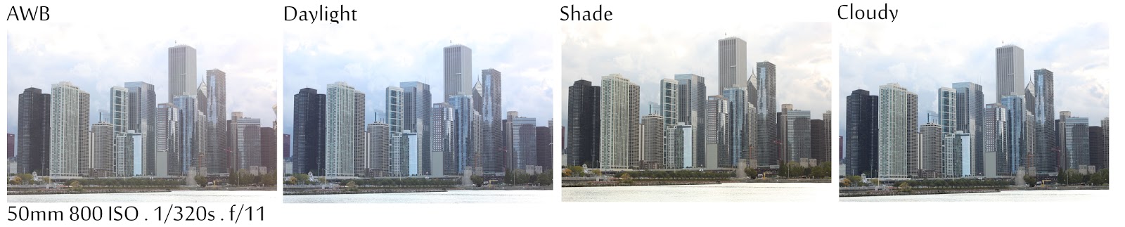 Random Day to Day Thoughts, Projects, and Ideas: Photography - White Balance