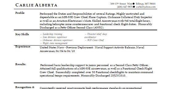 Naval Support Activity Sample Resume Format in Word Free Download