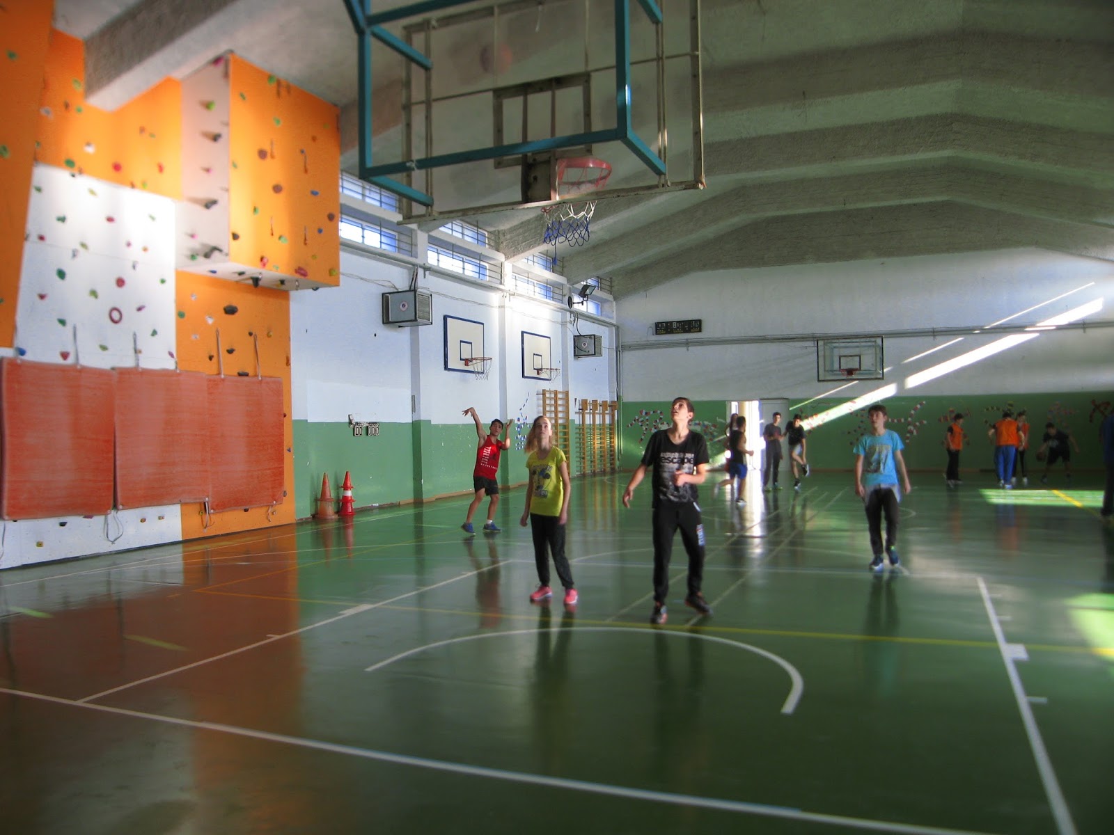 Φυσική Αγωγή στο Σχολείο και Άσκηση στον Ελεύθερο χρόνο: 2016