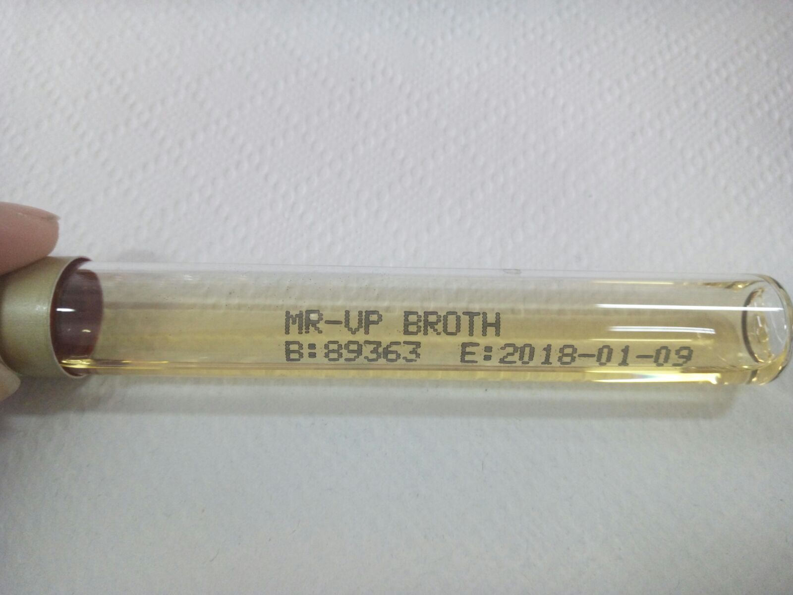 PRACTICA 11: PRUEBAS DE IDENTIFICACIÓN BACTERIANA.