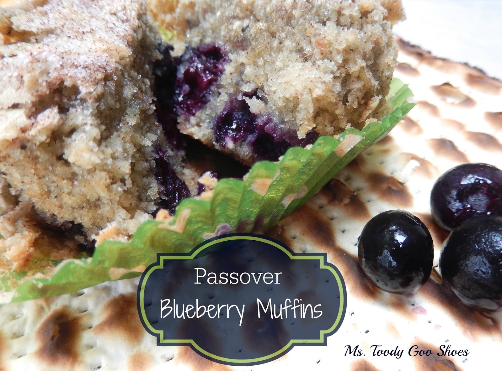 Ms. Toody Goo Shoes: Blueberry Muffins for Passover
