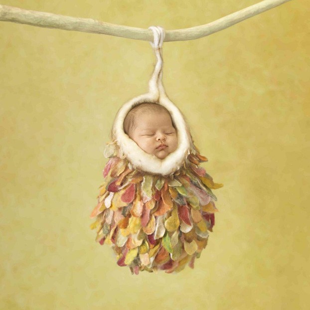 Anne Geddes