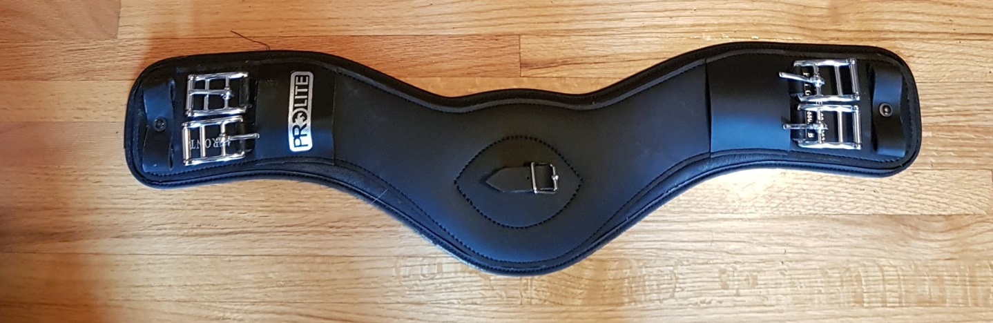 Autonomous Dressage: Girths, Girths, Girths