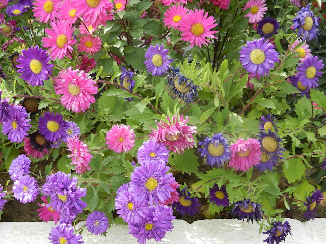 Kuweight 64: 2012-03-25