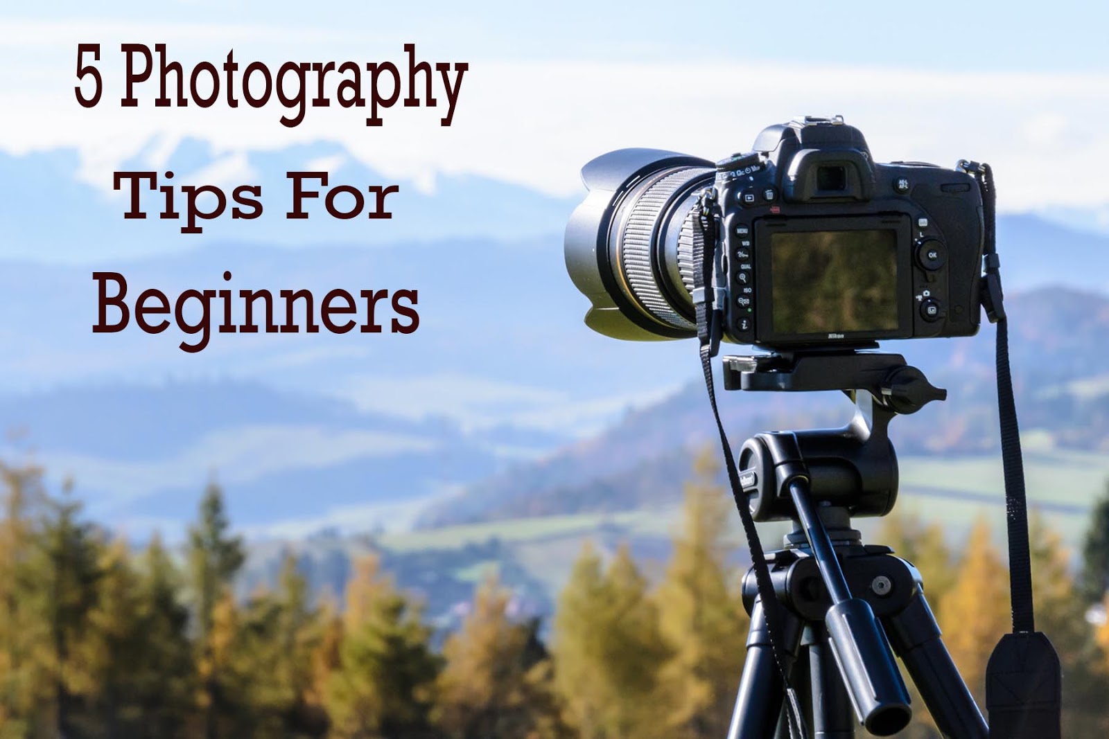 Clipping Solutions India : 5 amazing photography tips for complete ...