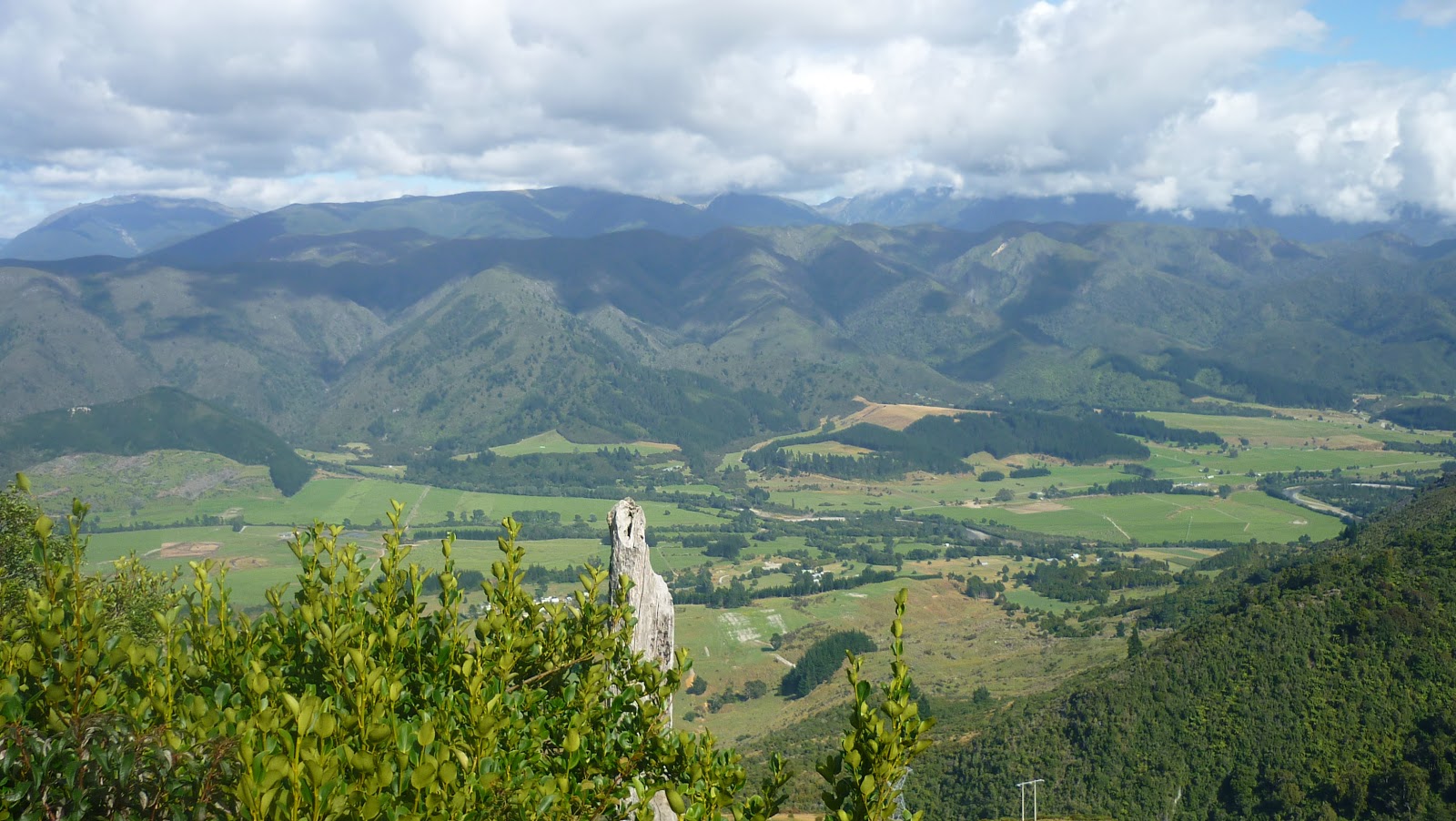 New-Zealand Adventure: Tondre des lamas à Cissy bay