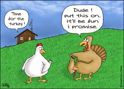 Funny Turkey Pictures: Funny Turkey Pictures Part 3