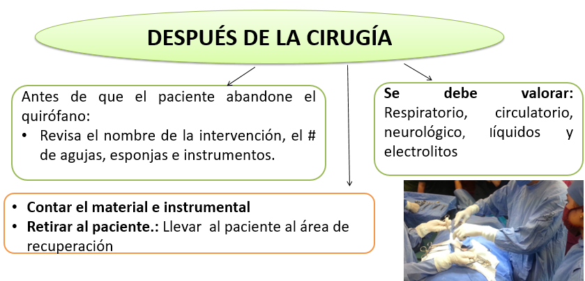 PACIENTE QUIRÚRGICO: PACIENTE QUIRÚRGICO - TRANSOPERATORIO