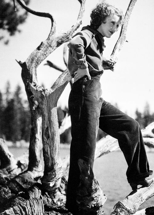 Phyllis Loves Classic Movies: Rose Marie (1936)