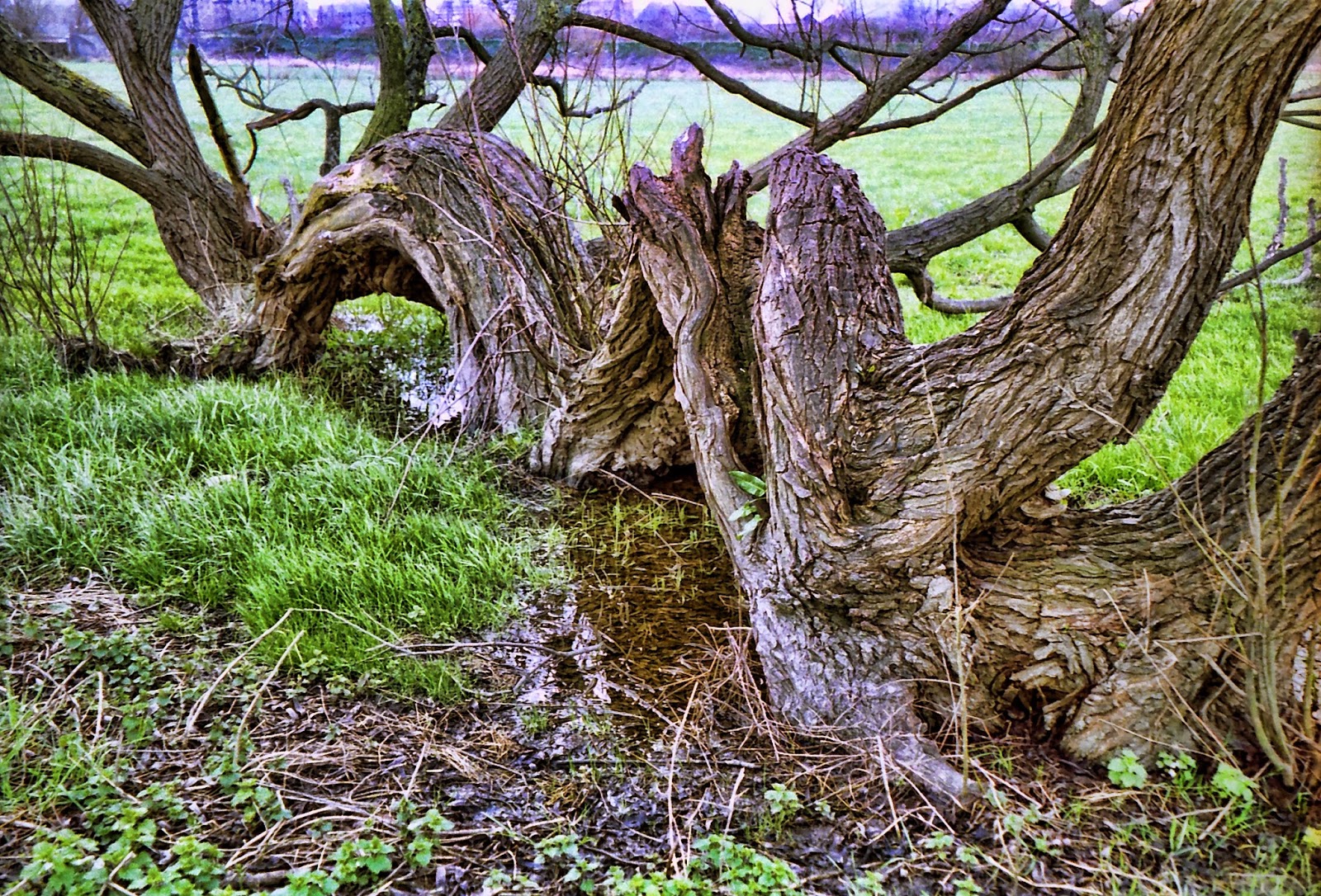 COTSWOLDS CASCADE: February 2014