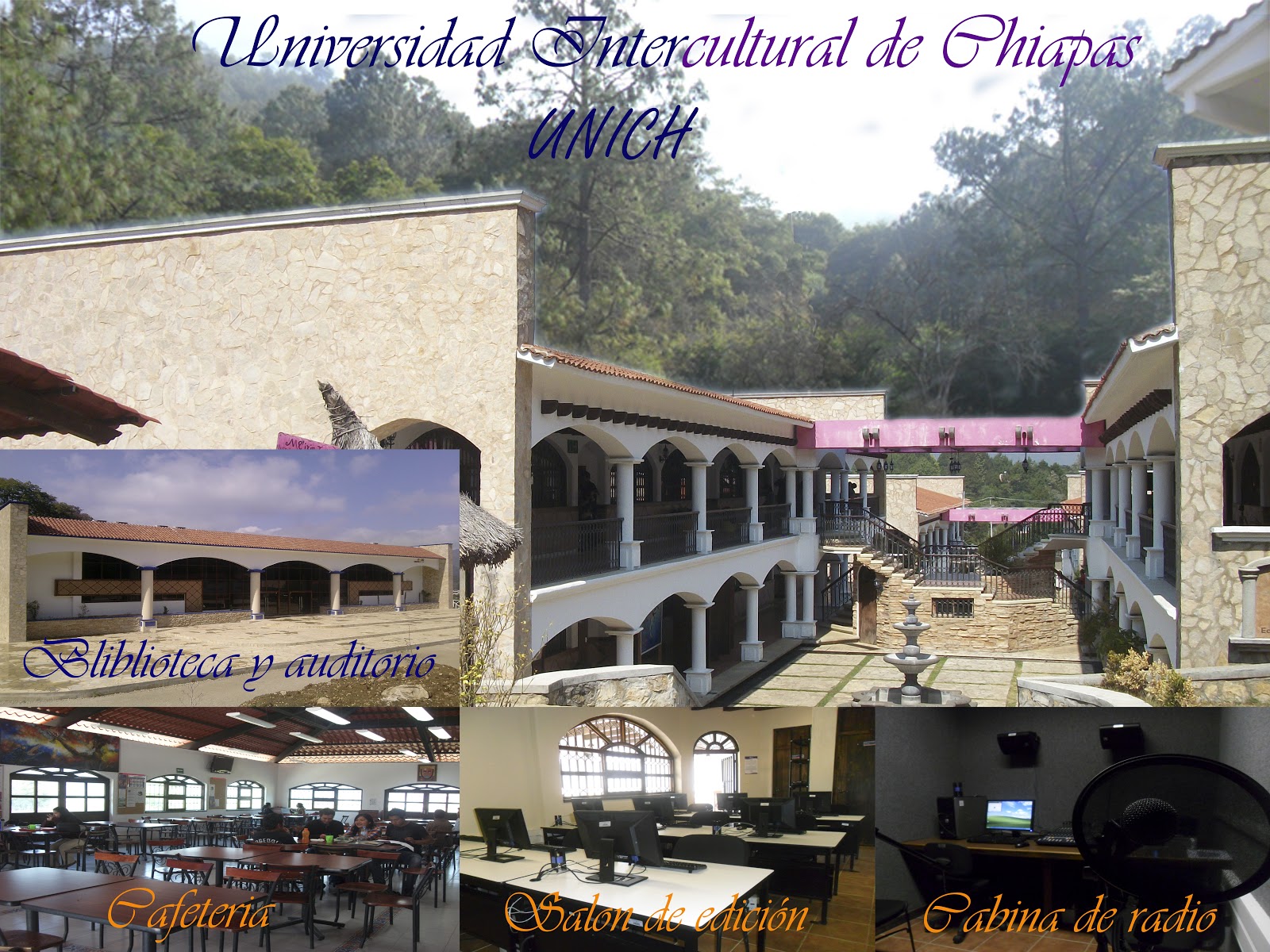 Sistemas de cargos en San Juan Chamula: Universidad Intercultural de ...