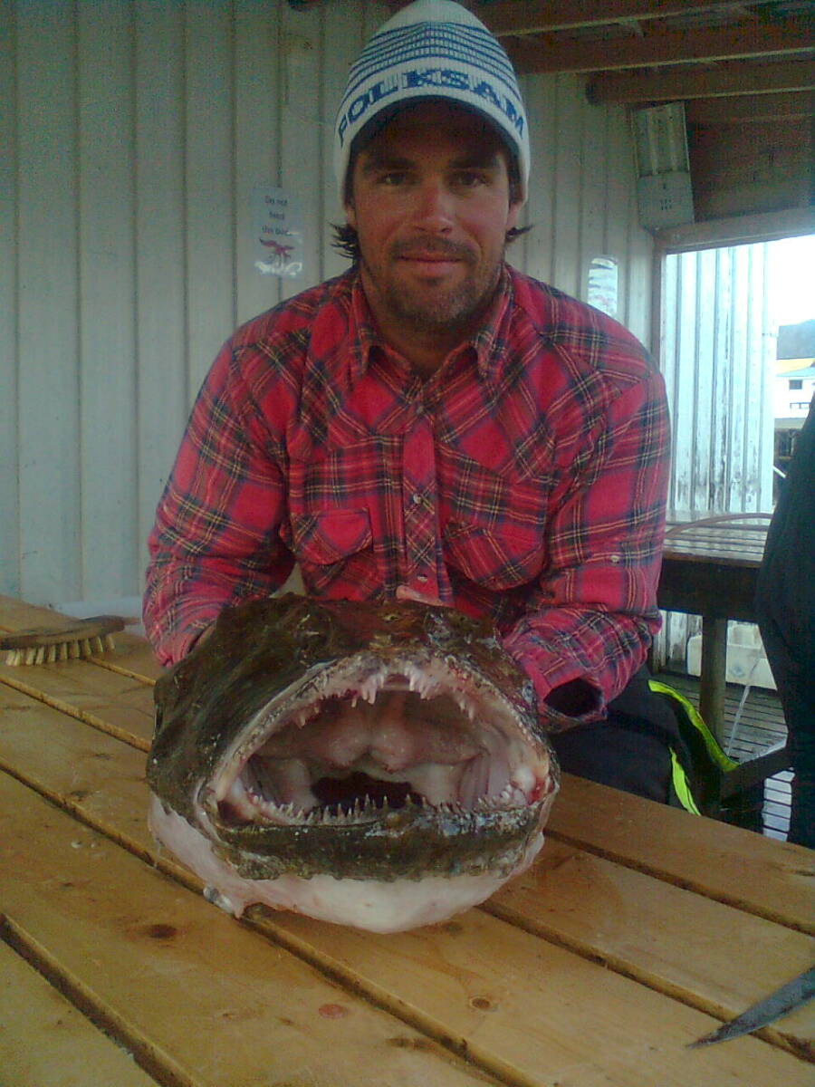 Söröya Blogg - Nordic Sea Angling: Marulk på storskalltan