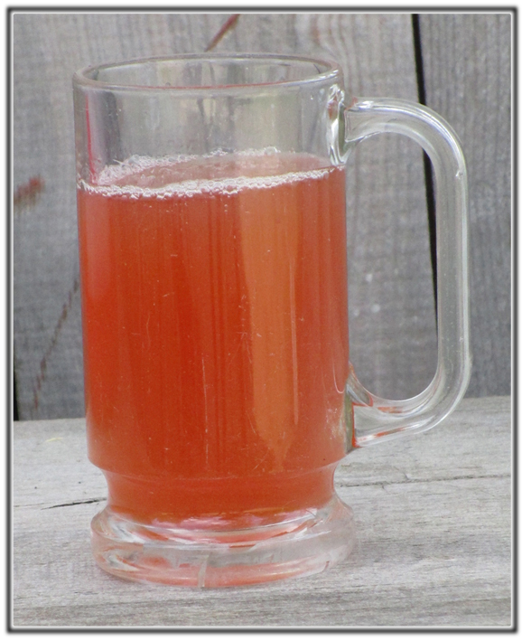 Gör egen kombucha! Scoby svamp till salu, skickas med vanlig post på 1 ...