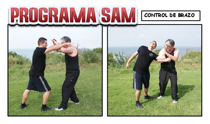 SISTEMA DE AUTOEXPRESION MARCIAL : mayo 2013