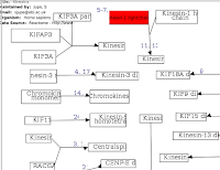Using the WikiPathways API in R | R-bloggers