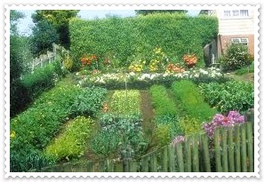 DISEÑO DEL HUERTO ECOLÓGICO: