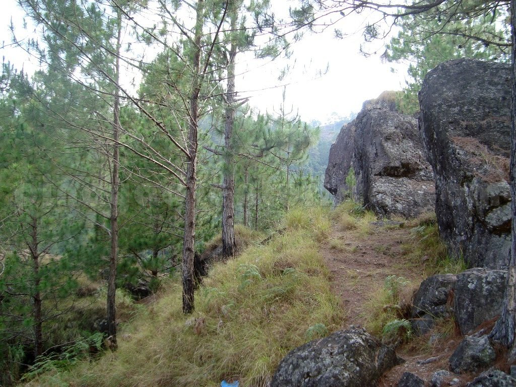 Benguet - Mt. Cabuyao, my First Hike in the Cordilleras | Blogs, Budget ...