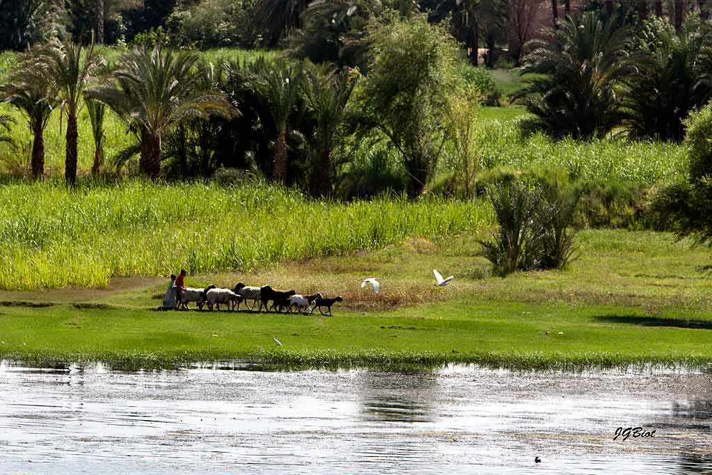 fotografias: El Nilo