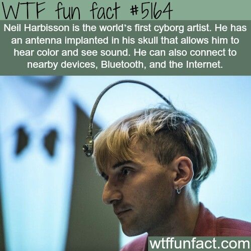 40 Interesting WTF Fun Facts | Amazing WTF Facts