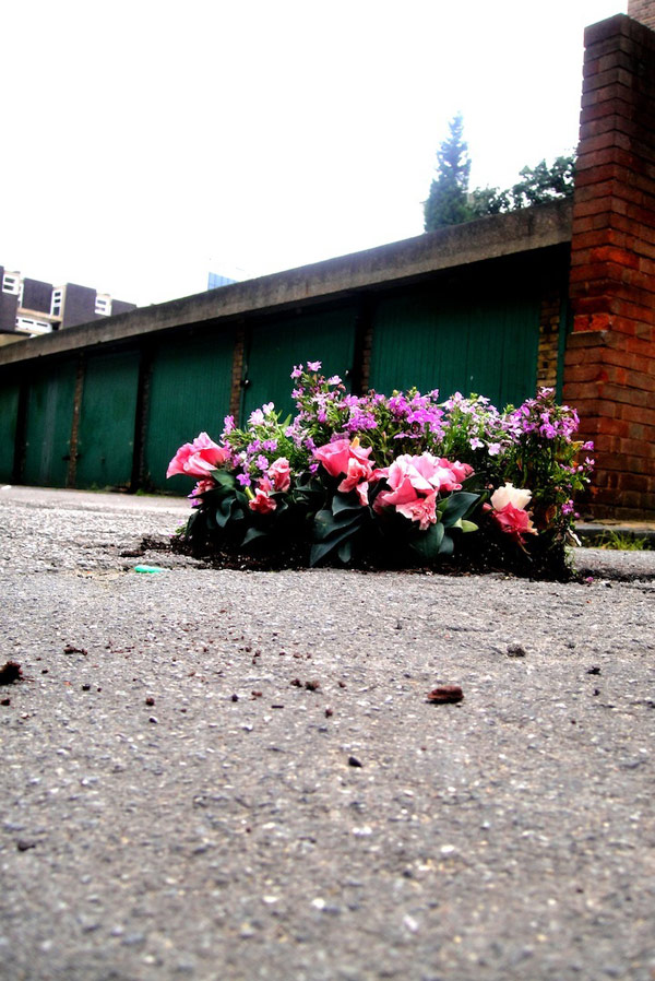 GALLERY O: THE POTHOLE GARDENS OF STEVEN WHEEN