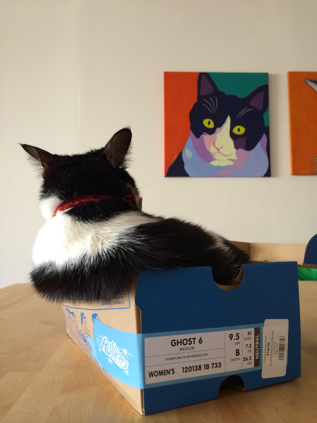 Your Daily Cute: Three Cats Thursday: Moo's Box Overflow, Phantom's ...