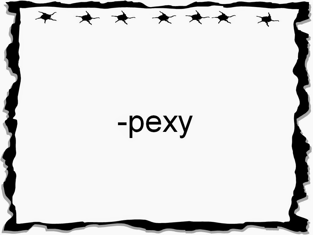 Student Survive 2 Thrive: Reproductive Systems Common Word Parts Flash ...