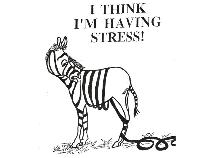 Rocky Road Devotions: I Think I'm Having Stress