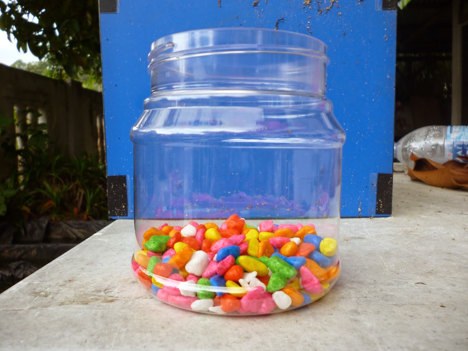 Betta GL: Setting Bekas Ikan